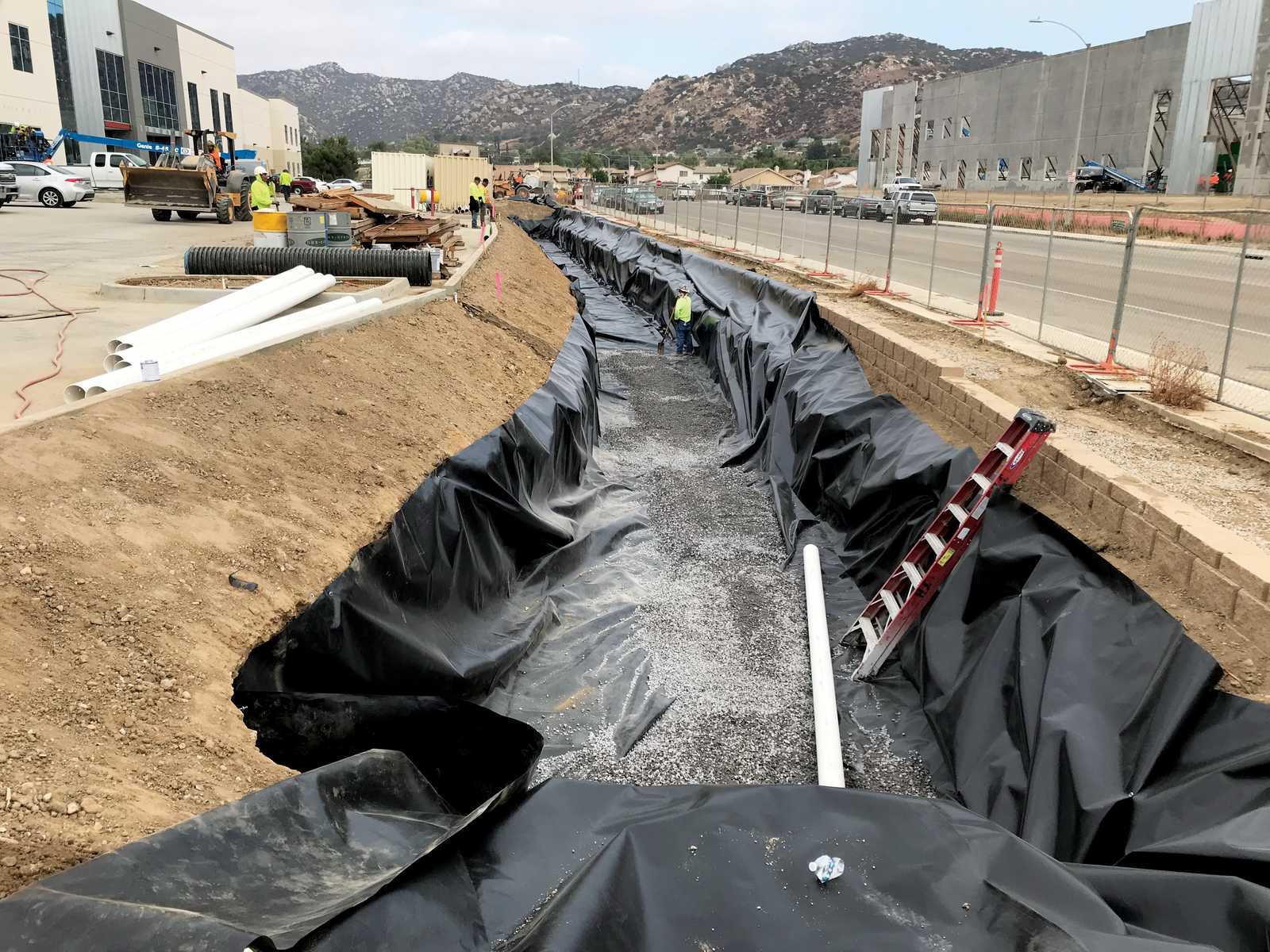 Layfield Bioswales Slow Surface Water Runoff & Removes Pollutants